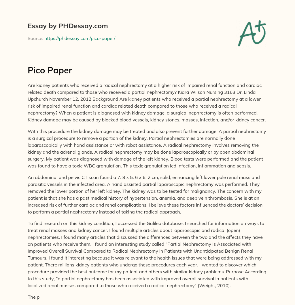 Pico Paper - PHDessay.com