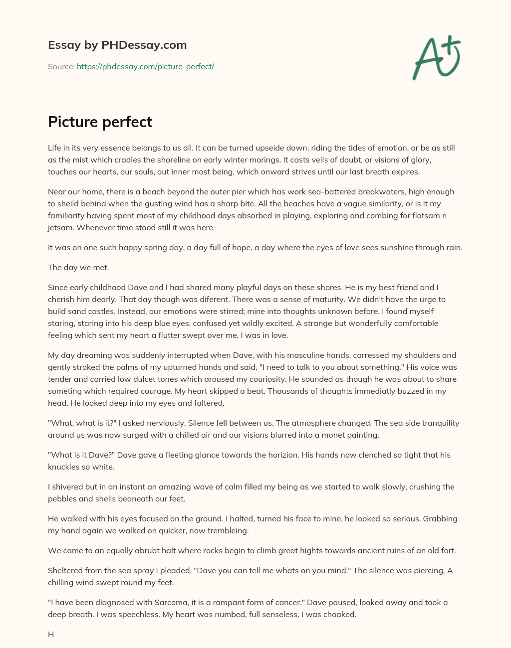 Picture perfect - PHDessay.com