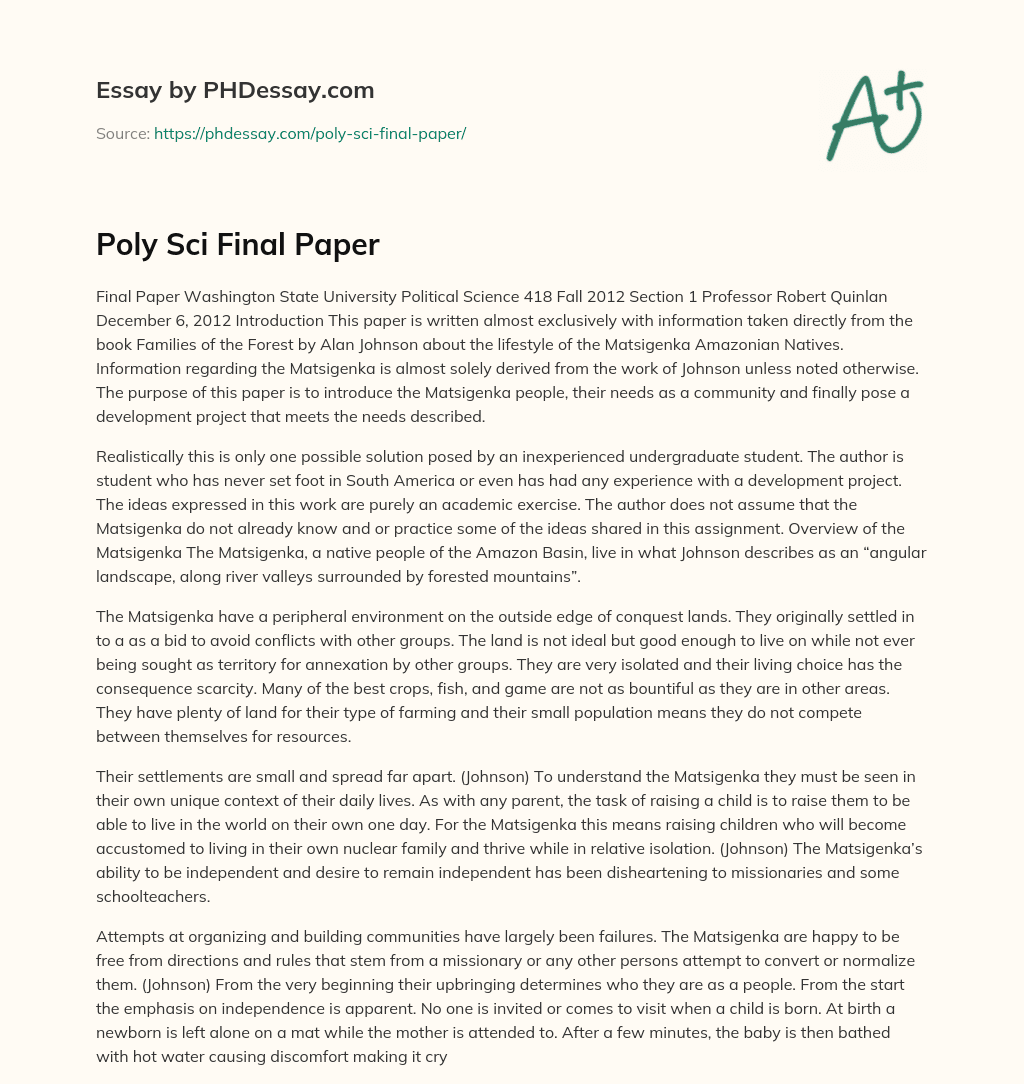 Poly Sci Final Paper - PHDessay.com