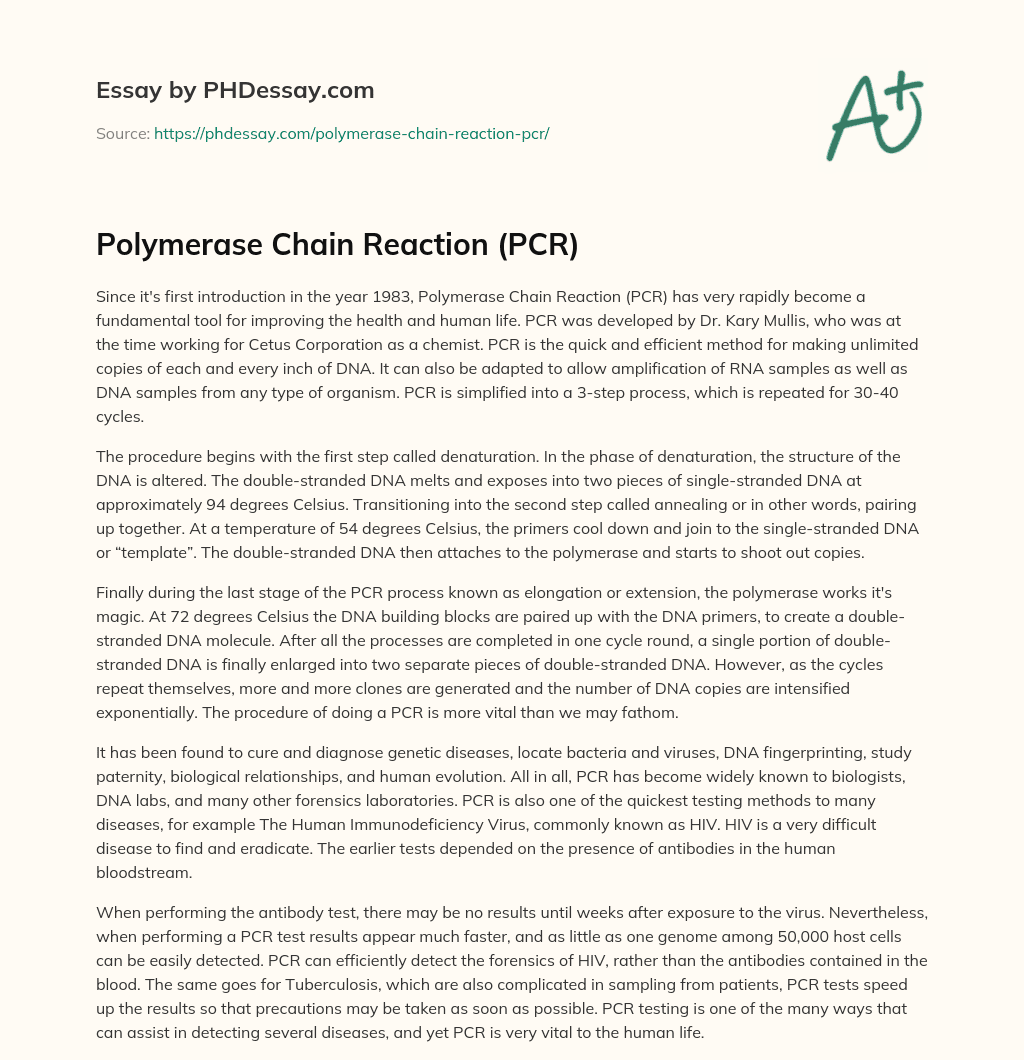 Polymerase Chain Reaction (PCR) (500 Words) - PHDessay.com