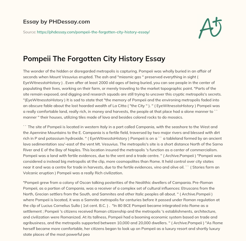Pompeii The Forgotten City History Essay - PHDessay.com
