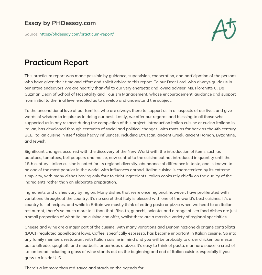 Practicum Report - PHDessay.com