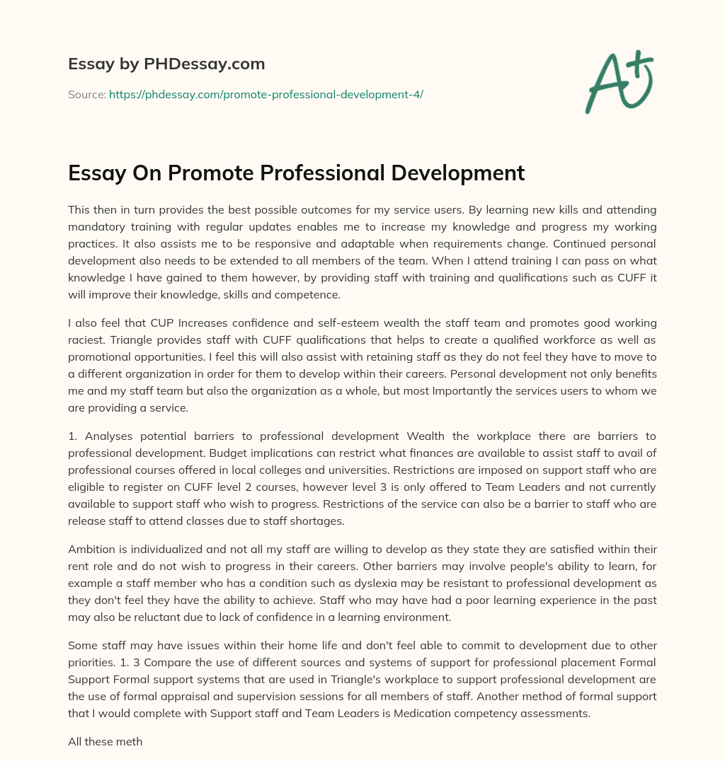 Essay On Promote Professional Development - PHDessay.com