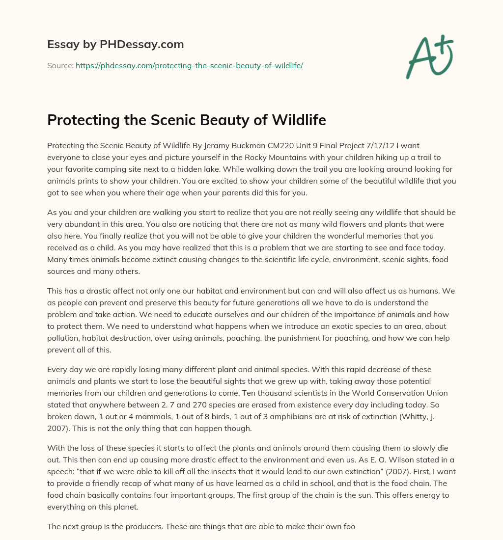 Protecting the Scenic Beauty of Wildlife - PHDessay.com