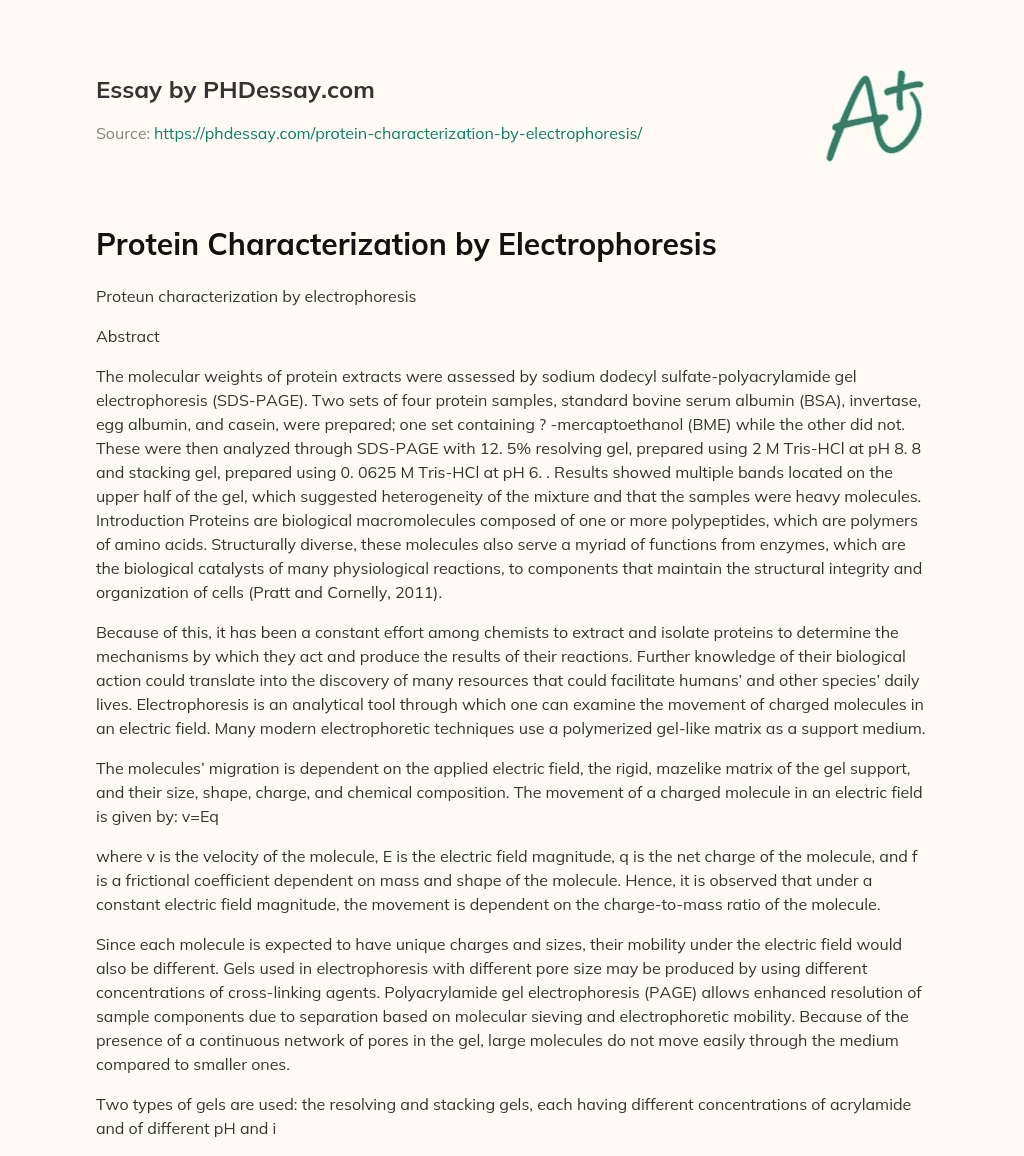 Protein Characterization by Electrophoresis - PHDessay.com