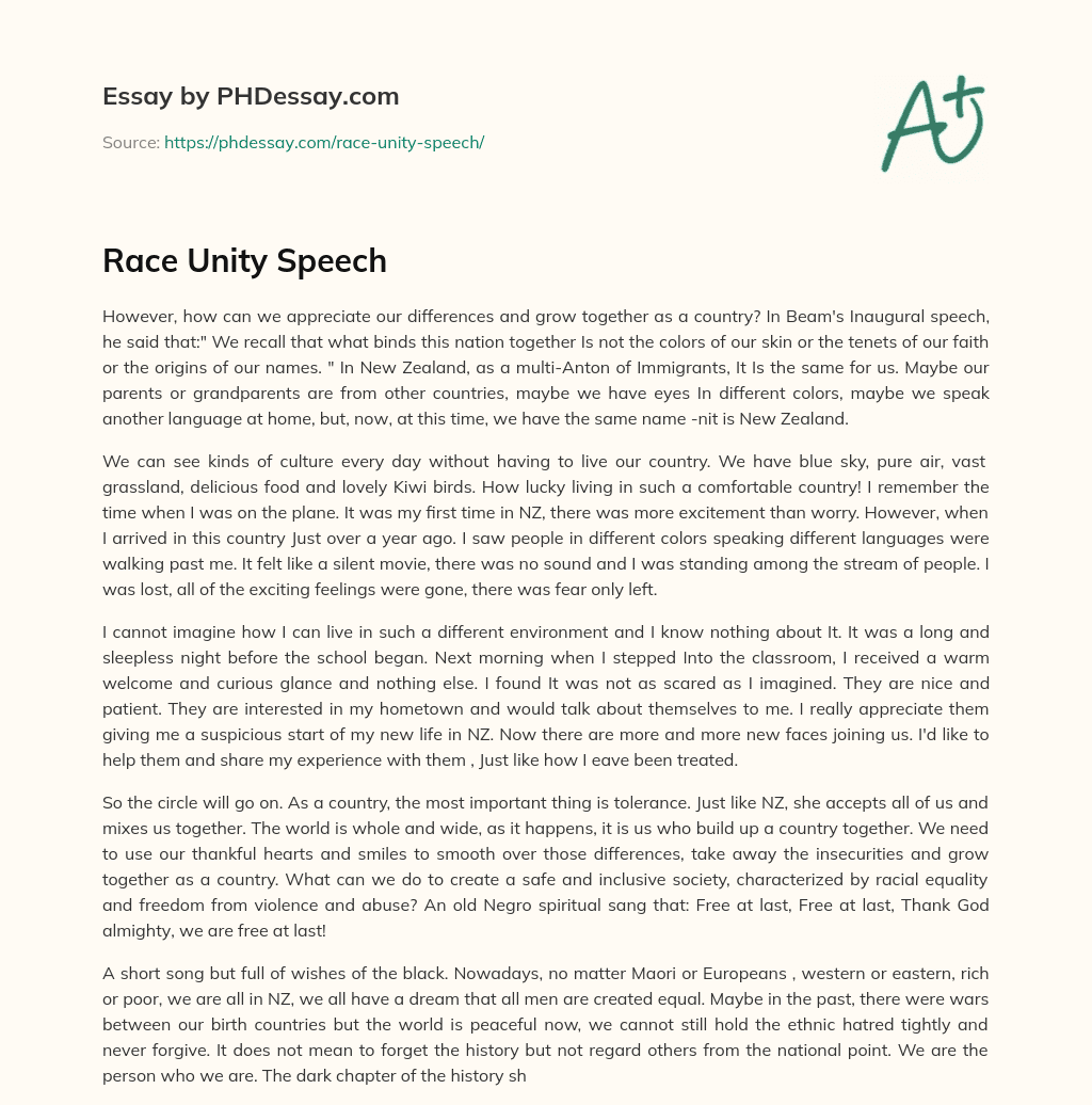 Race Unity Speech - PHDessay.com