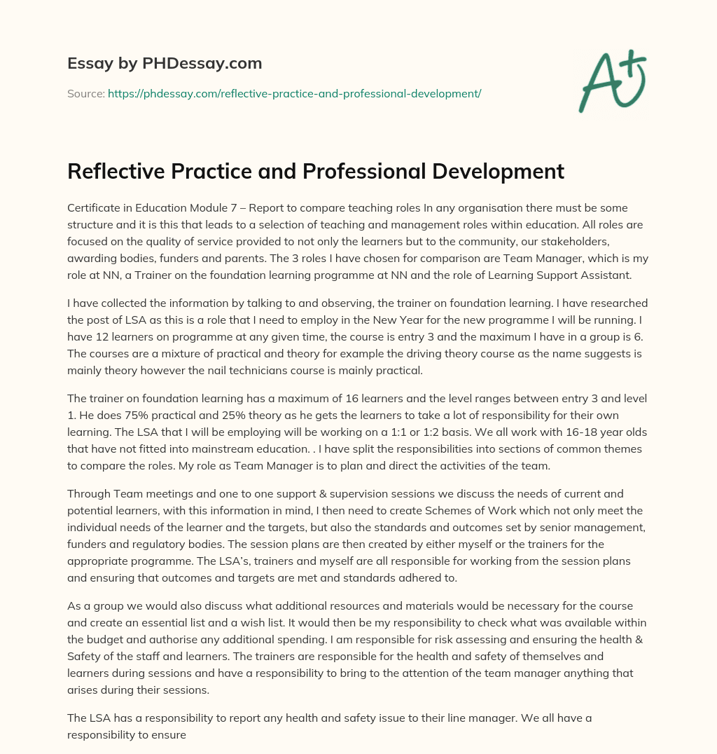 Reflective Practice and Professional Development - PHDessay.com