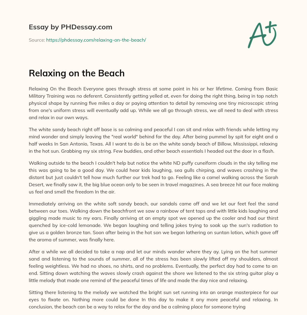Relaxing on the Beach (600 Words) - PHDessay.com