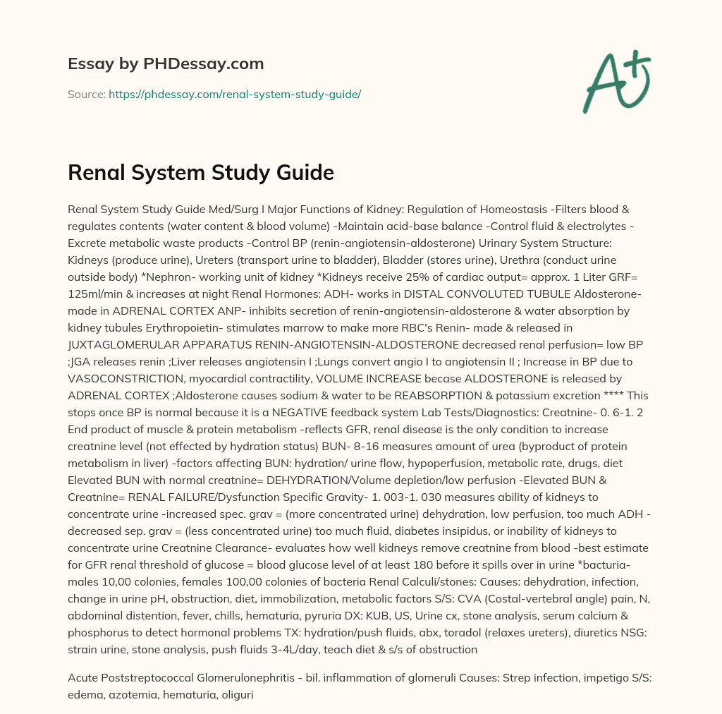 Renal System Study Guide - PHDessay.com