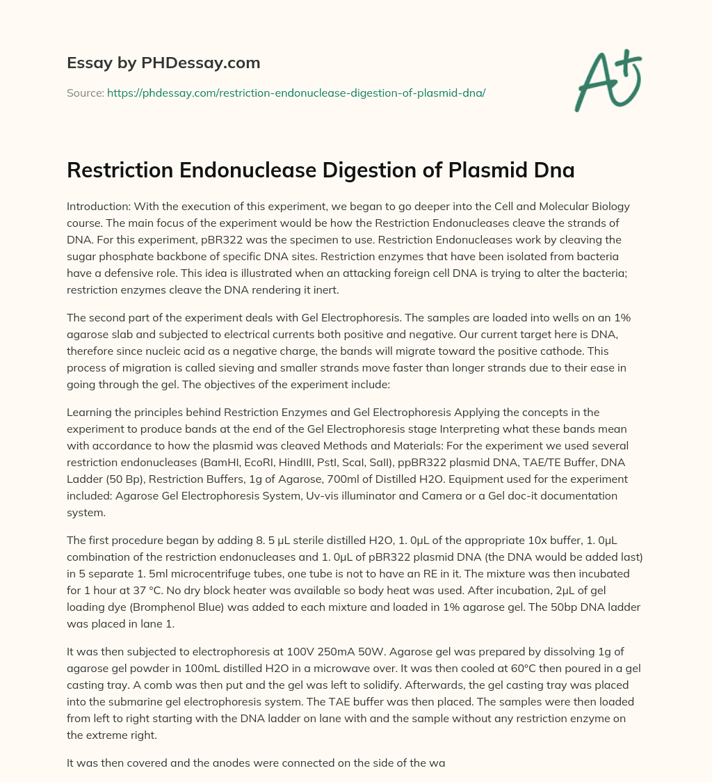 Restriction Endonuclease Digestion of Plasmid Dna - PHDessay.com