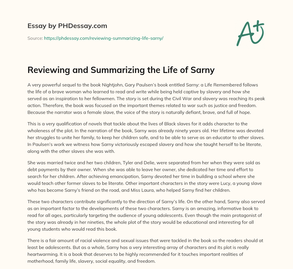 Reviewing and Summarizing the Life of Sarny (400 Words) - PHDessay.com