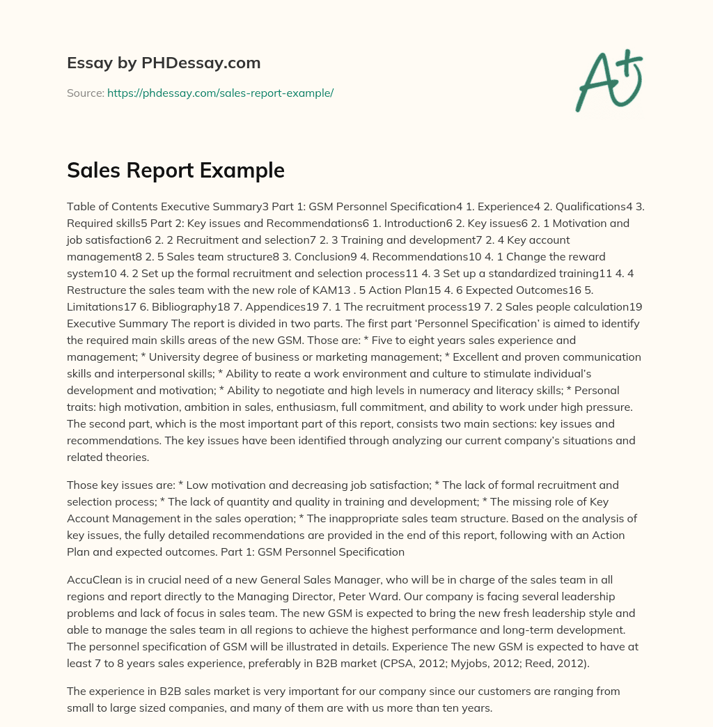 Sales Report Example - PHDessay.com