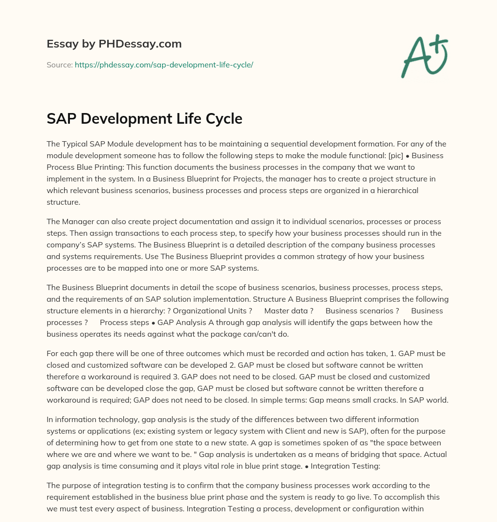SAP Development Life Cycle - PHDessay.com