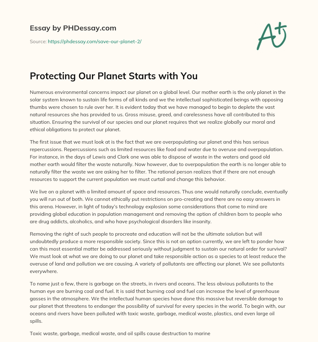 Protecting Our Planet Starts With You Essay Example - PHDessay.com