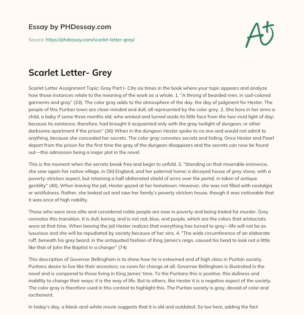 Scarlet Letter- Grey - PHDessay.com