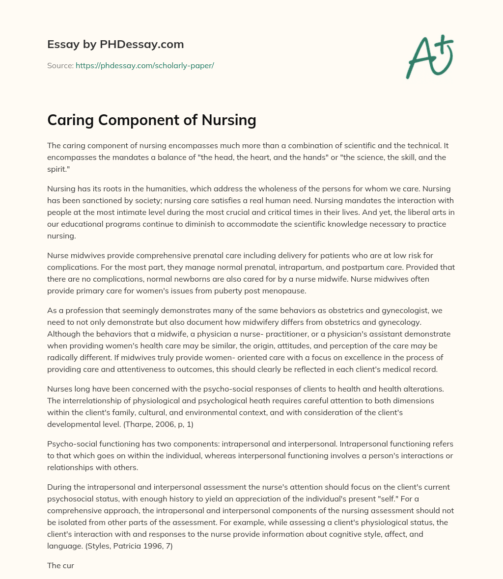 Caring Component of Nursing (600 Words) - PHDessay.com