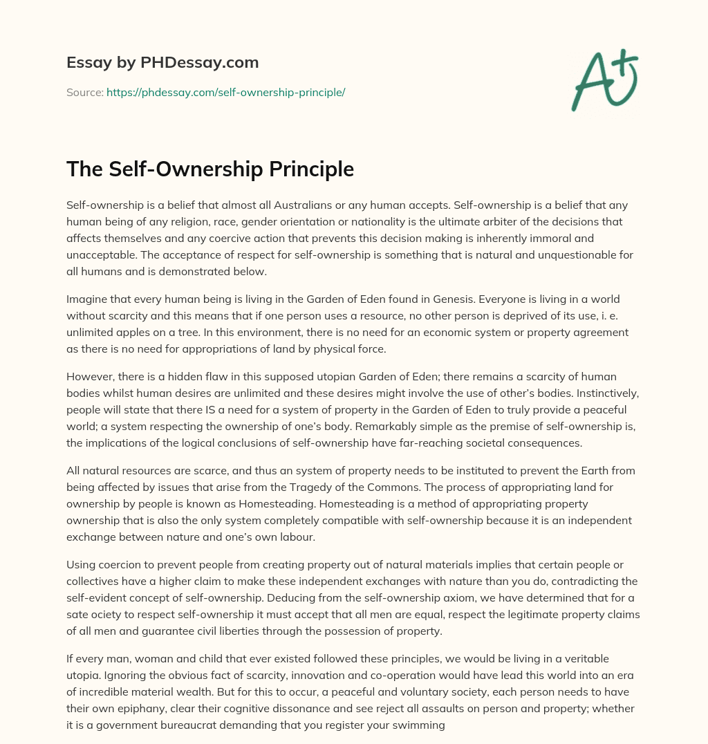 The Self-Ownership Principle (500 Words) - PHDessay.com