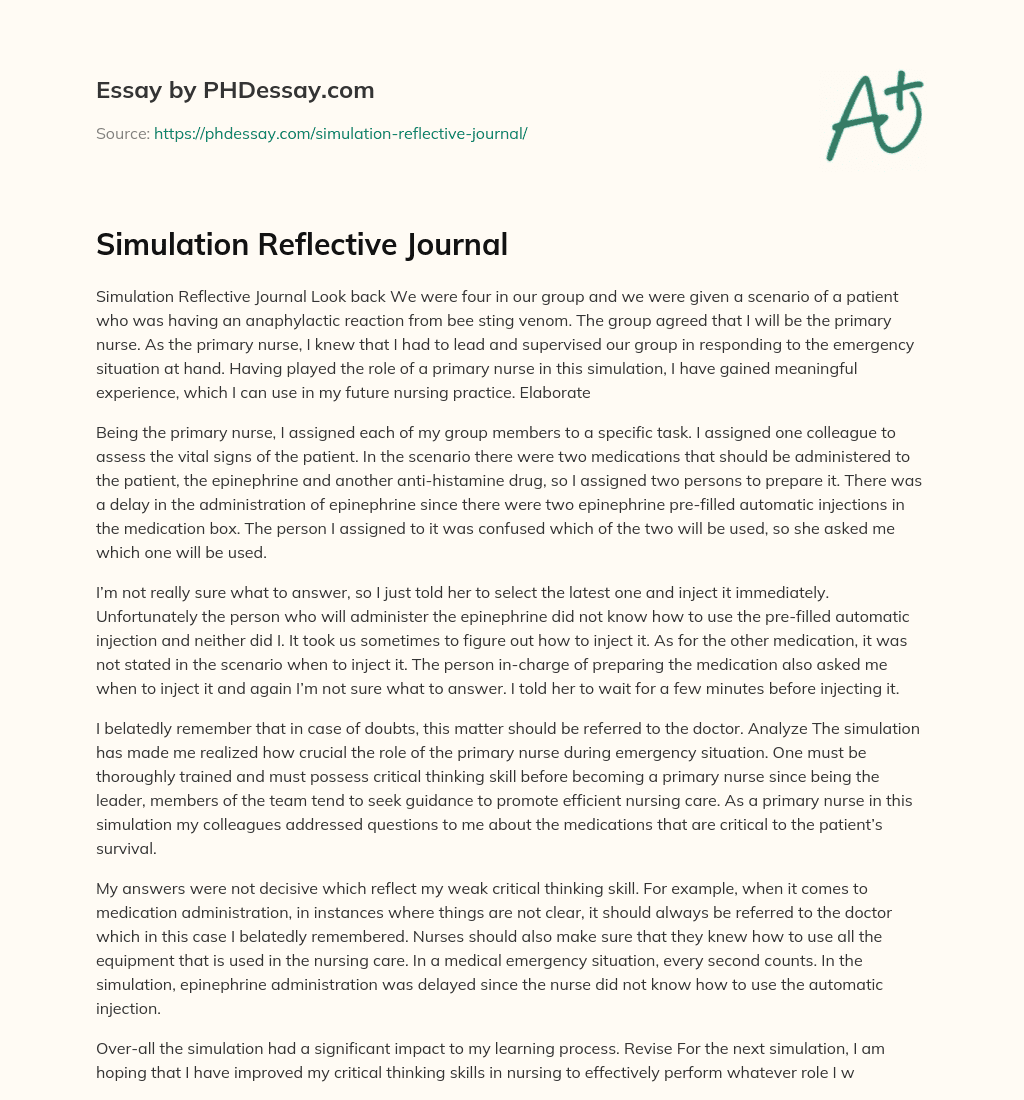 Simulation Reflective Journal Essay Example - PHDessay.com