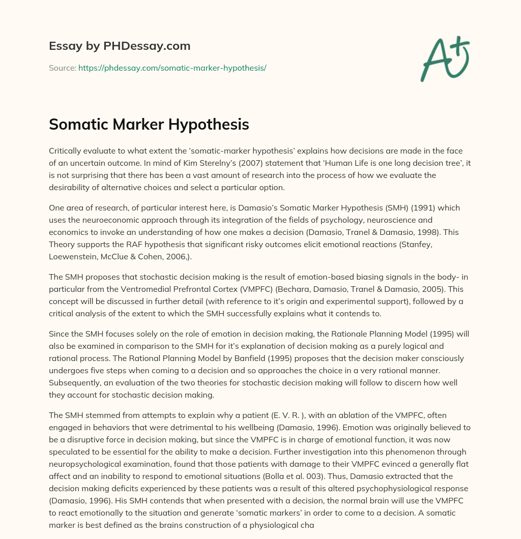 Somatic Marker Hypothesis - PHDessay.com