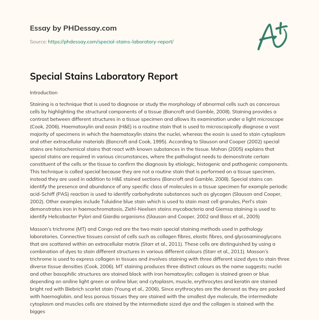 Special Stains Laboratory Report - PHDessay.com
