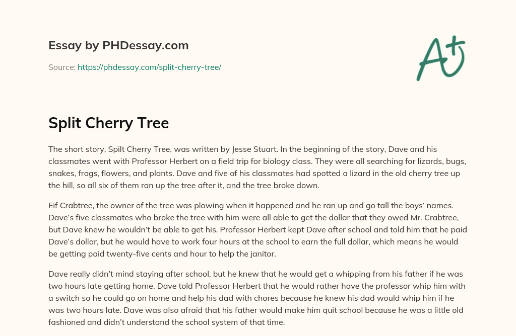 Split Cherry Tree (300 Words) - PHDessay.com