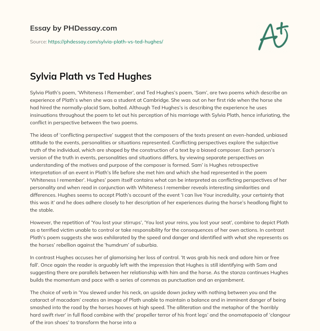 Sylvia Plath vs Ted Hughes - PHDessay.com
