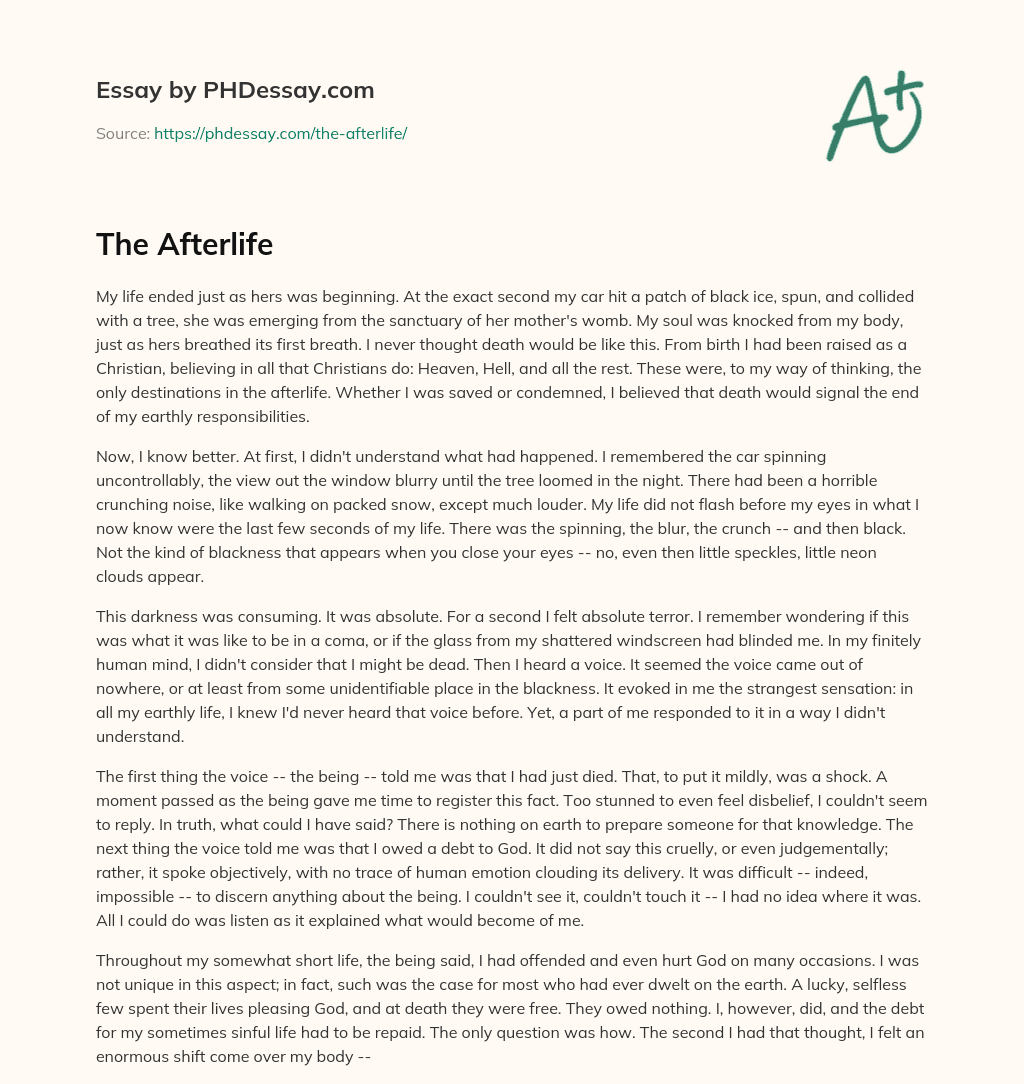The Afterlife - PHDessay.com