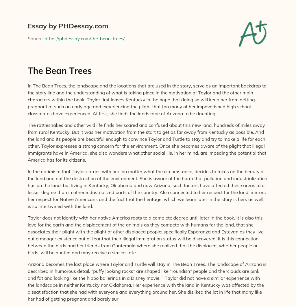The Bean Trees - PHDessay.com