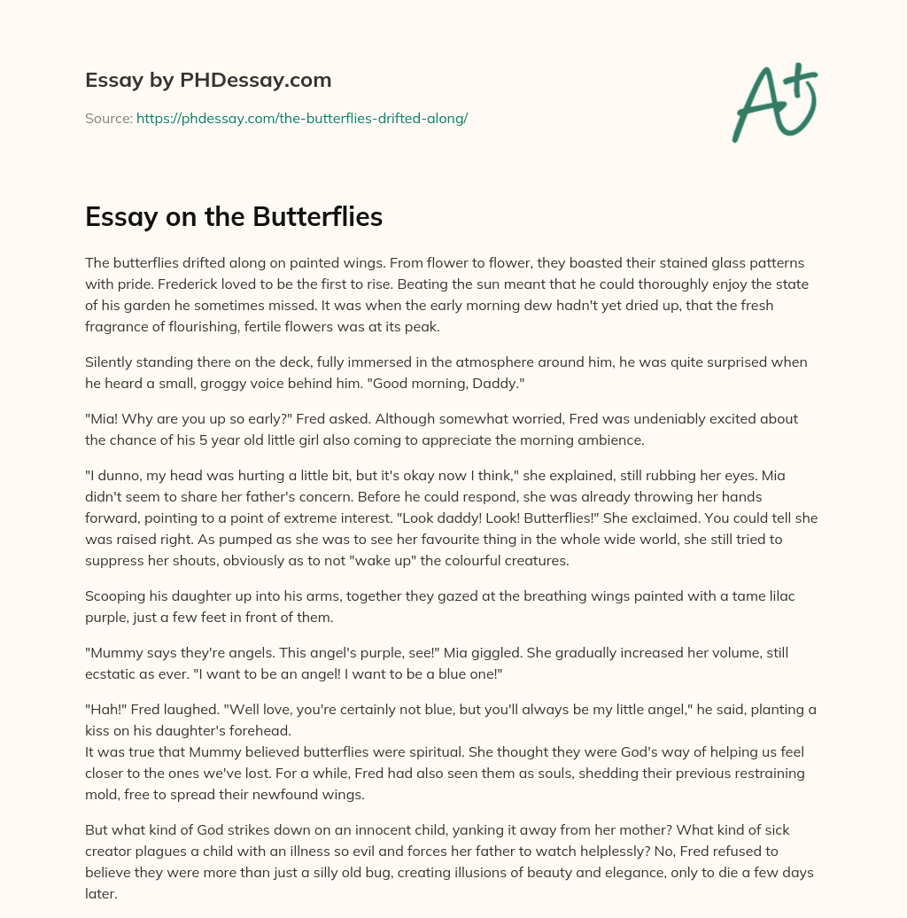 Essay on the Butterflies (400 Words) - PHDessay.com