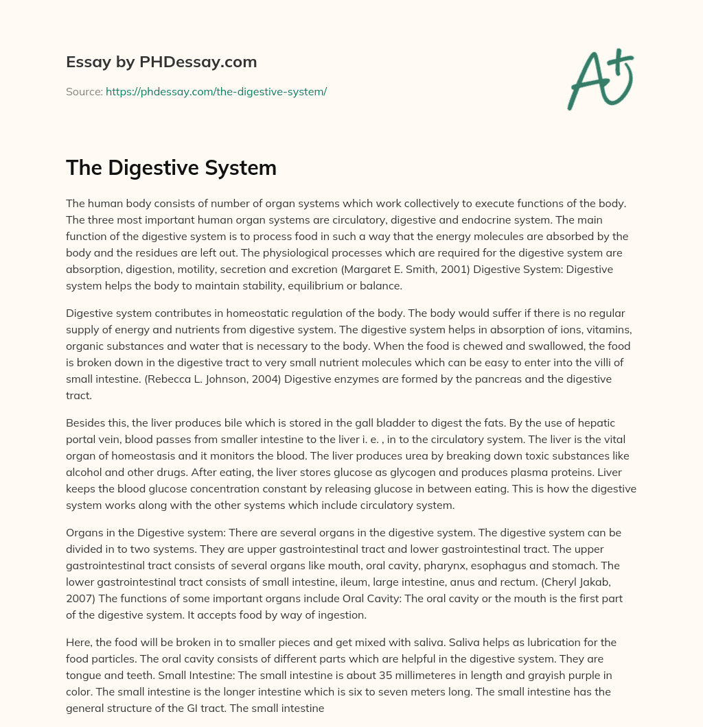 The Digestive System - PHDessay.com