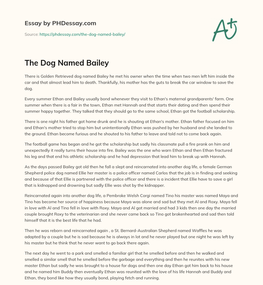 The Dog Named Bailey (500 Words) - PHDessay.com