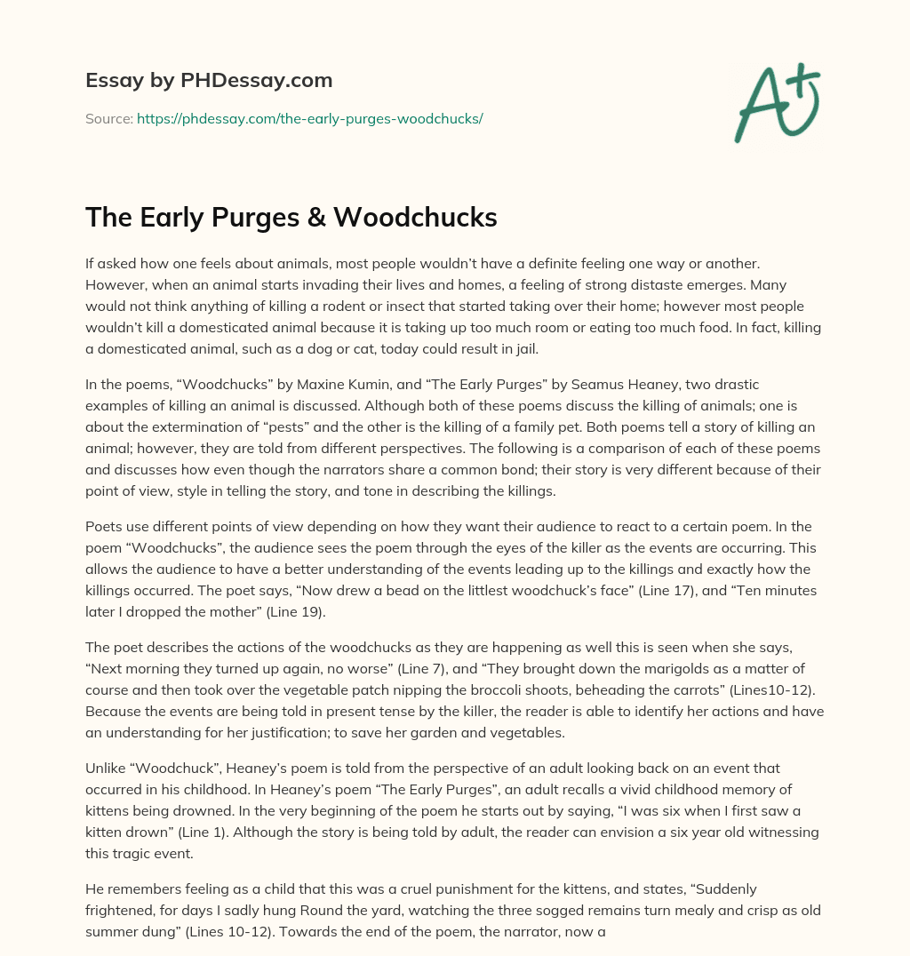 The Early Purges & Woodchucks Analysis Example - PHDessay.com