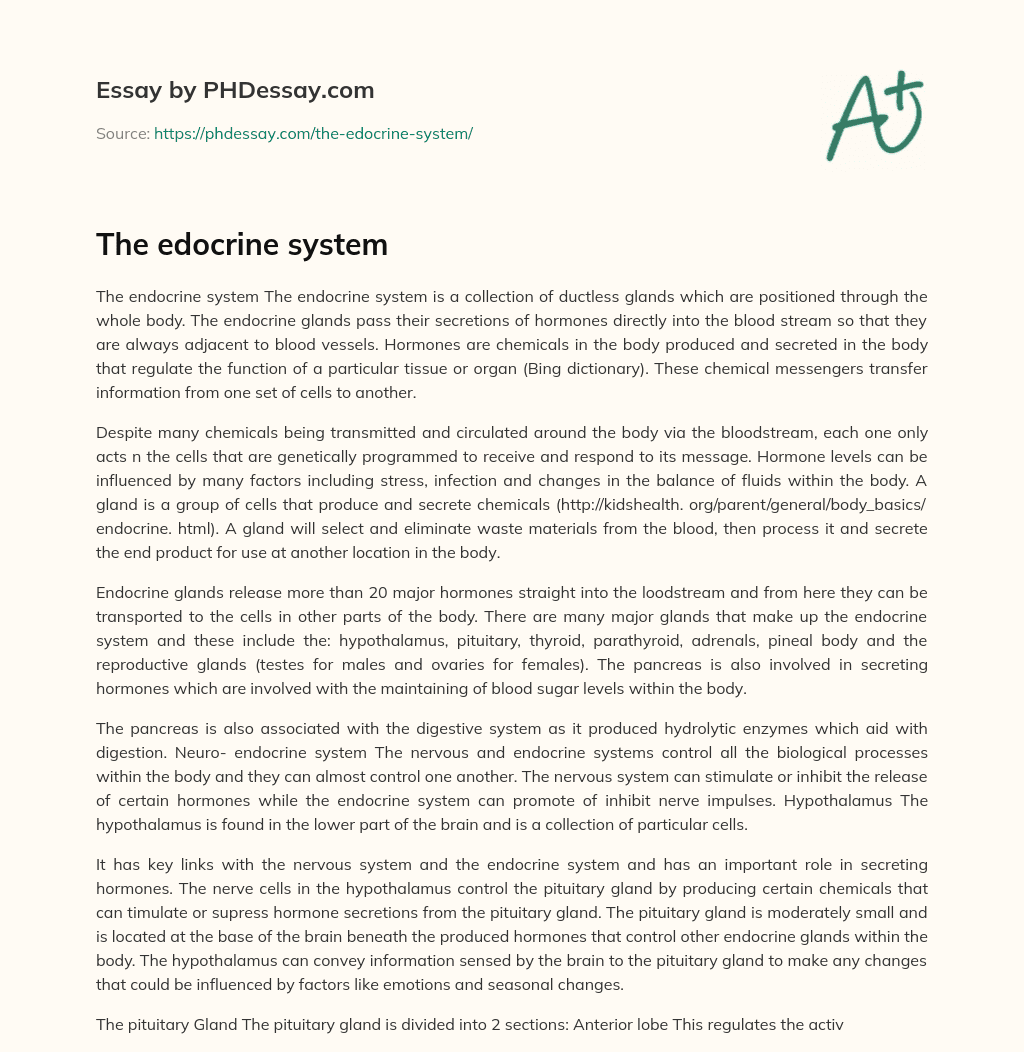 The edocrine system - PHDessay.com