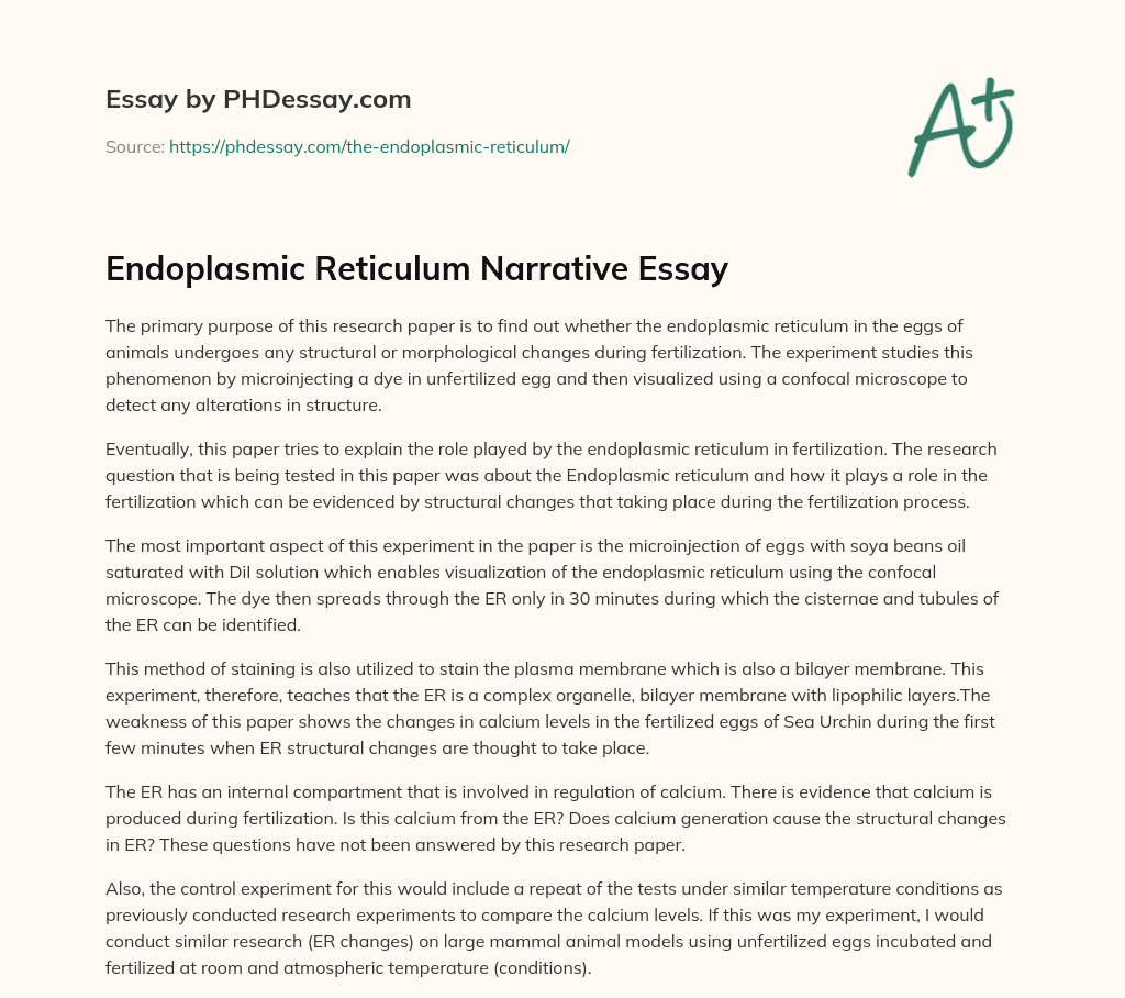 Endoplasmic Reticulum Narrative Essay (300 Words) - PHDessay.com