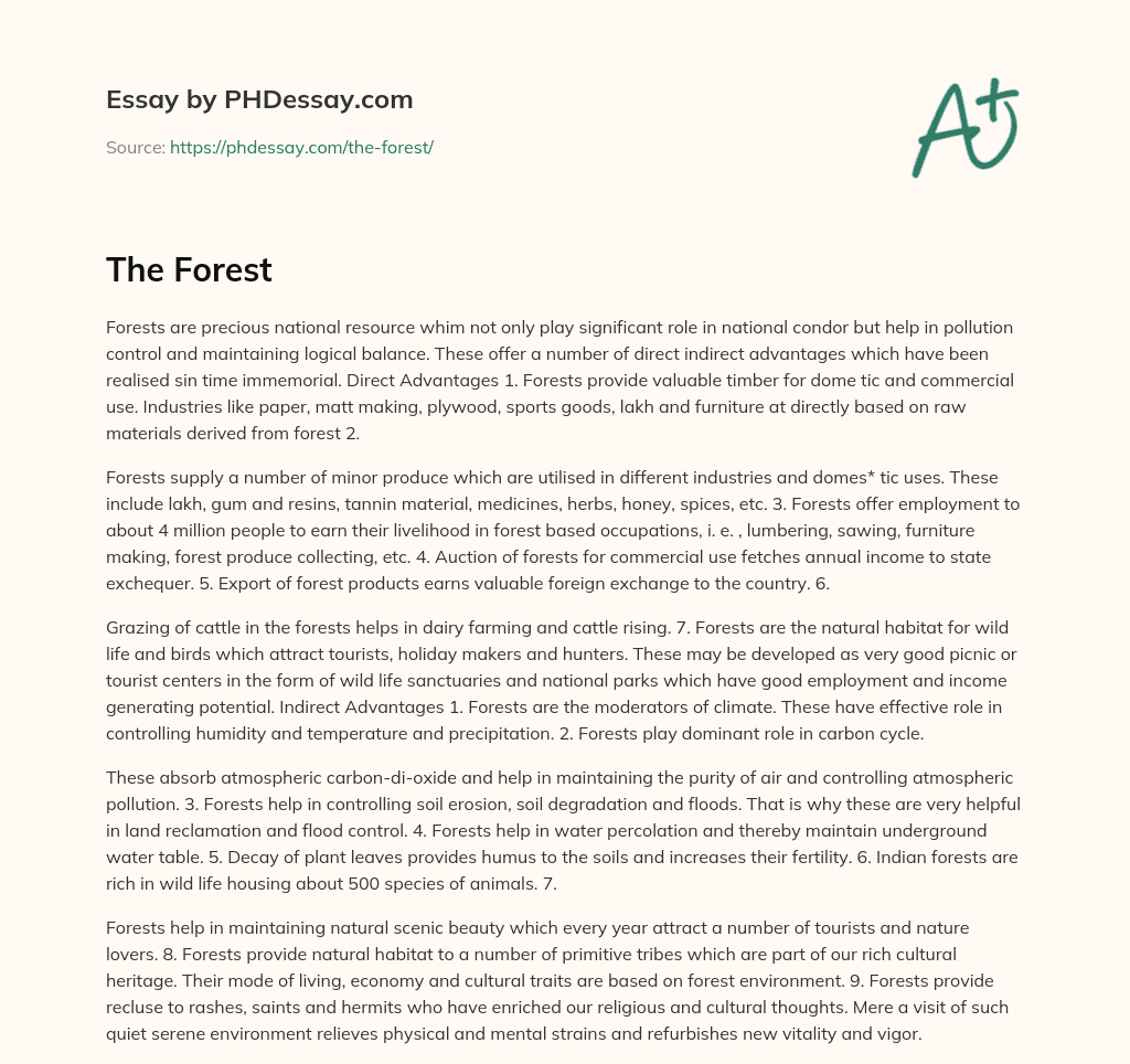 The Forest (400 Words) - PHDessay.com