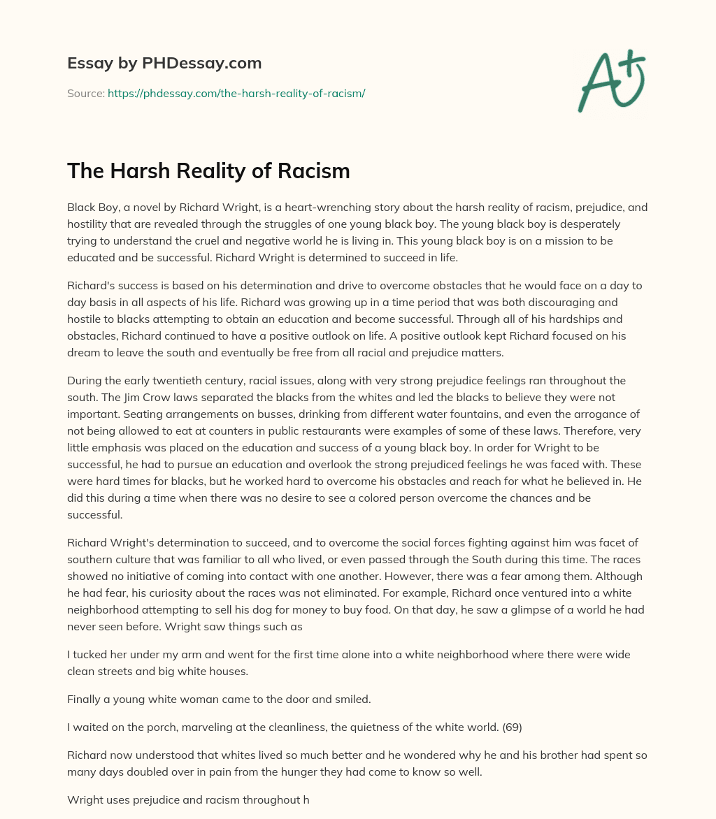 The Harsh Reality of Racism - PHDessay.com