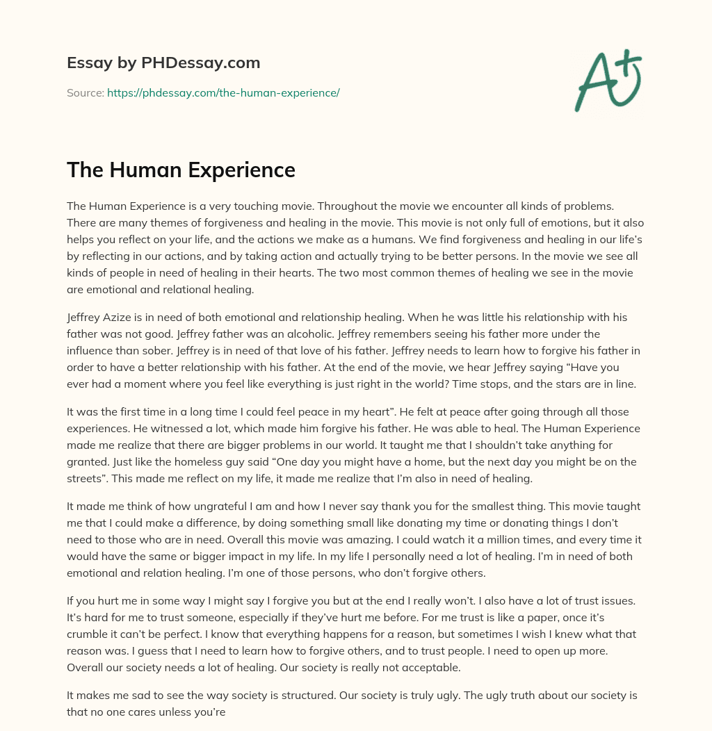 The Human Experience - PHDessay.com
