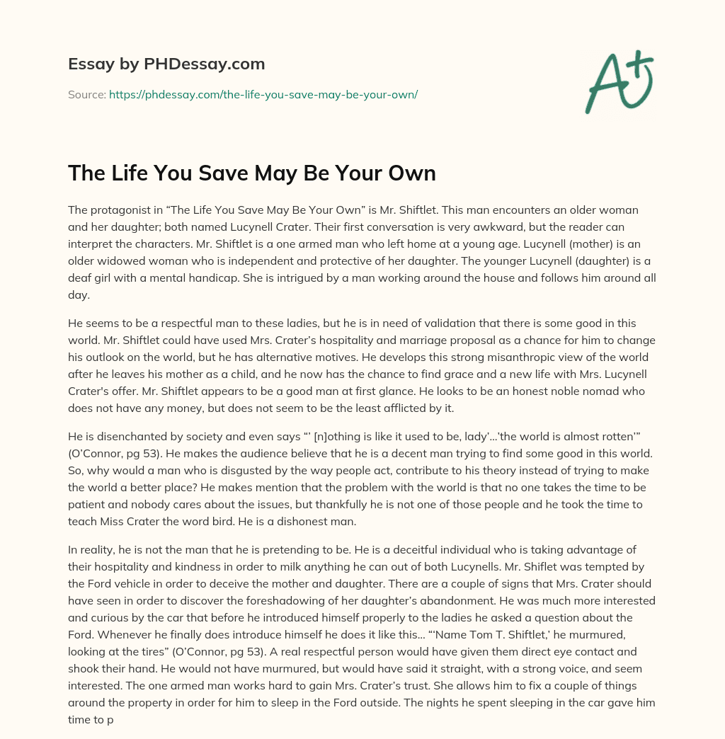 The Life You Save May Be Your Own - PHDessay.com