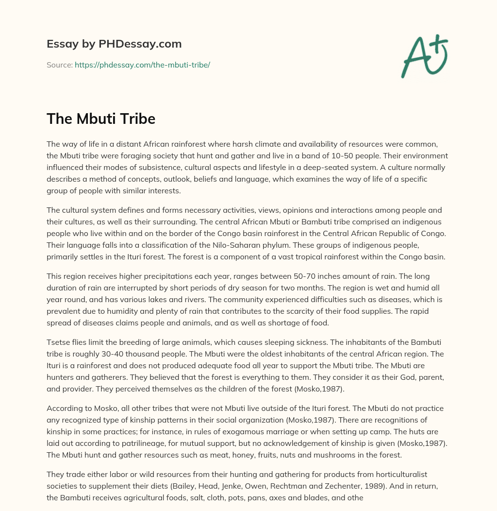 The Mbuti Tribe - PHDessay.com