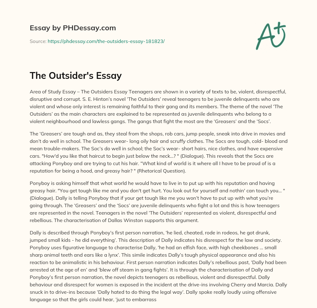 The Outsider's Essay - PHDessay.com