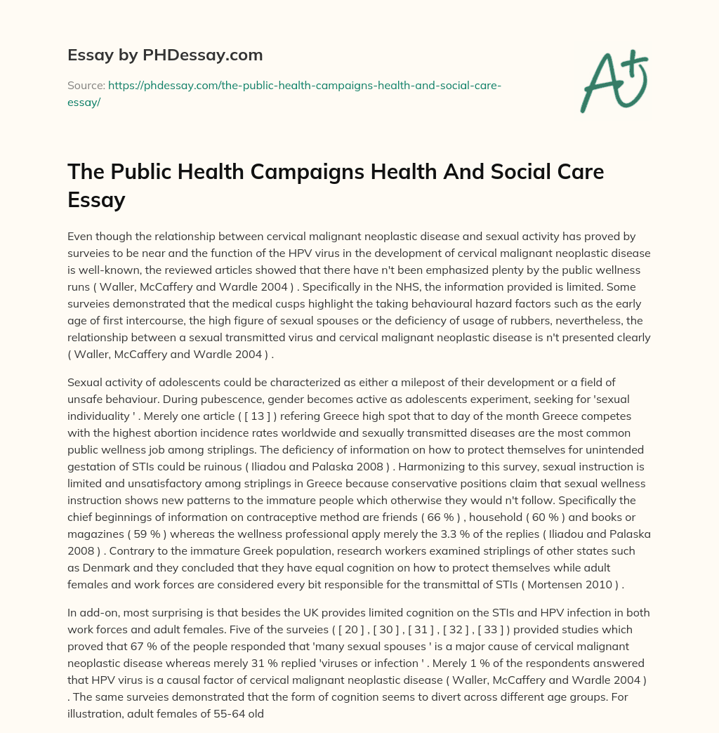 The Public Health Campaigns Health And Social Care Essay - PHDessay.com