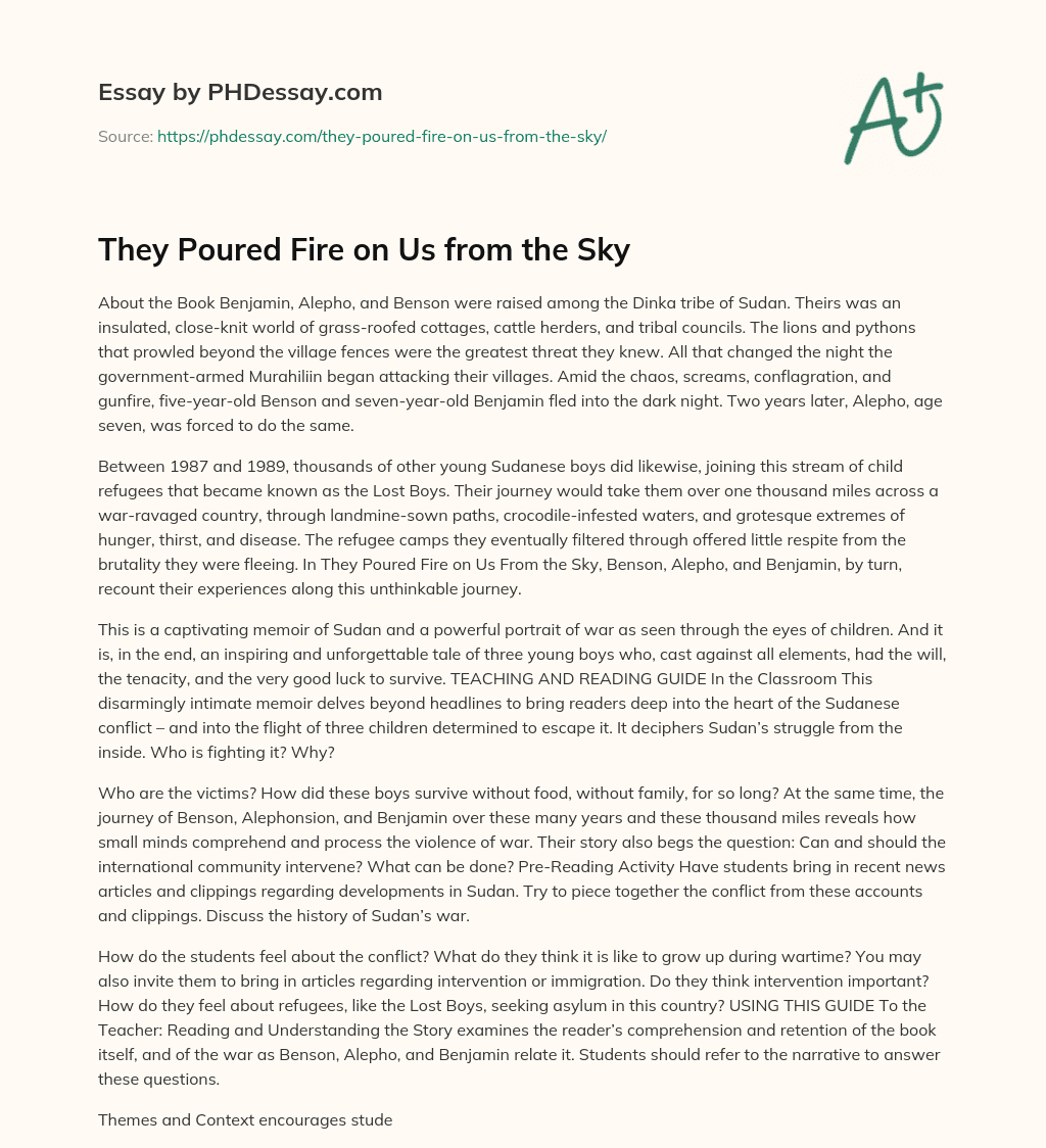 They Poured Fire On Us From The Sky Summary Example - PHDessay.com