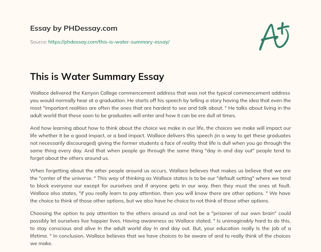 This Is Water Summary Essay 400 Words PHDessay