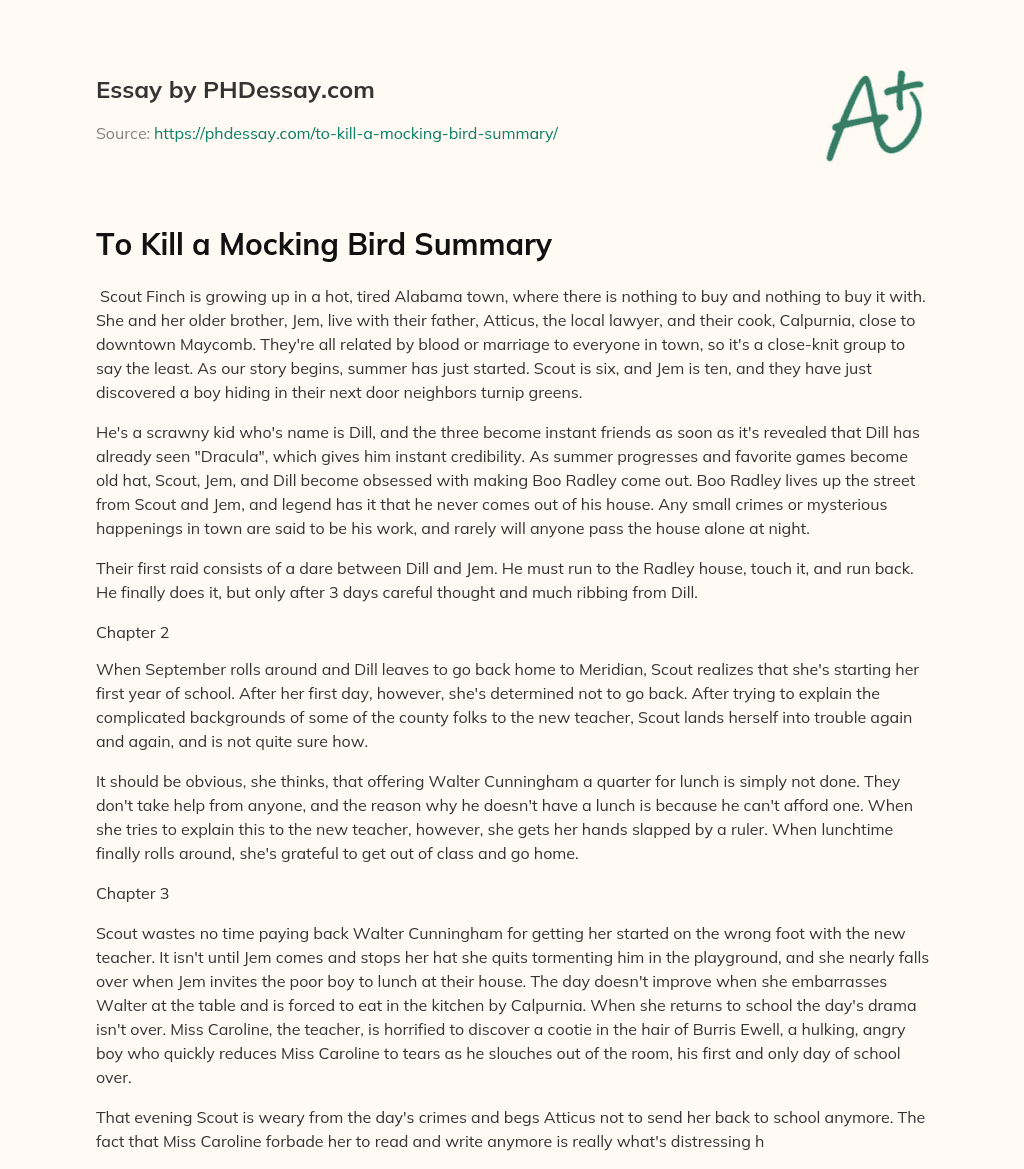 To Kill a Mocking Bird Summary - PHDessay.com