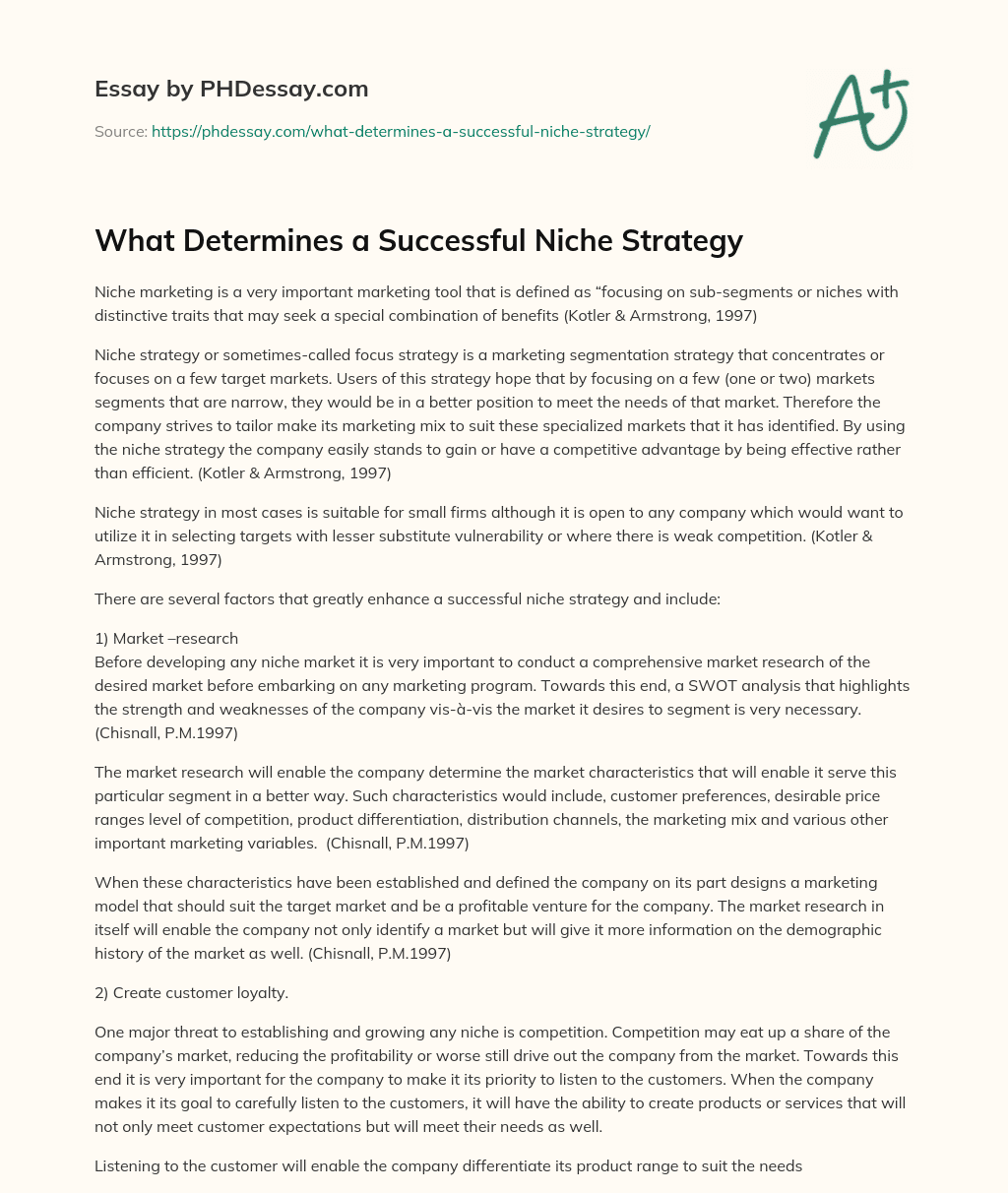 What Determines a Successful Niche Strategy - PHDessay.com