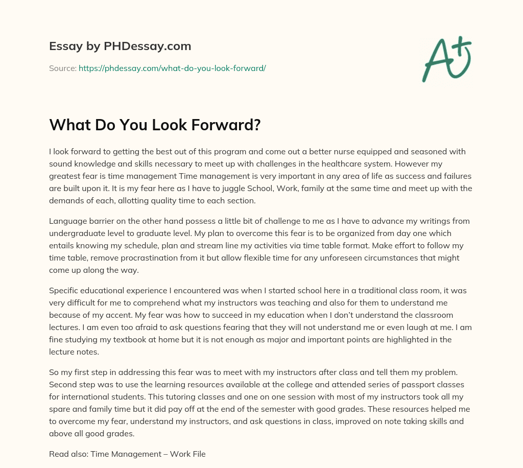 What Do You Look Forward? Essay Example (400 Words) - PHDessay.com
