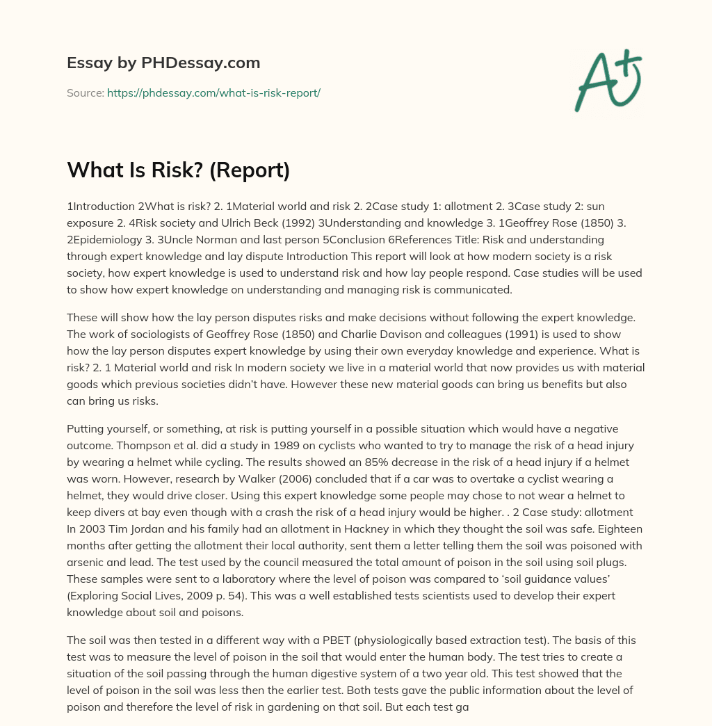 What Is Risk? (Report) - PHDessay.com