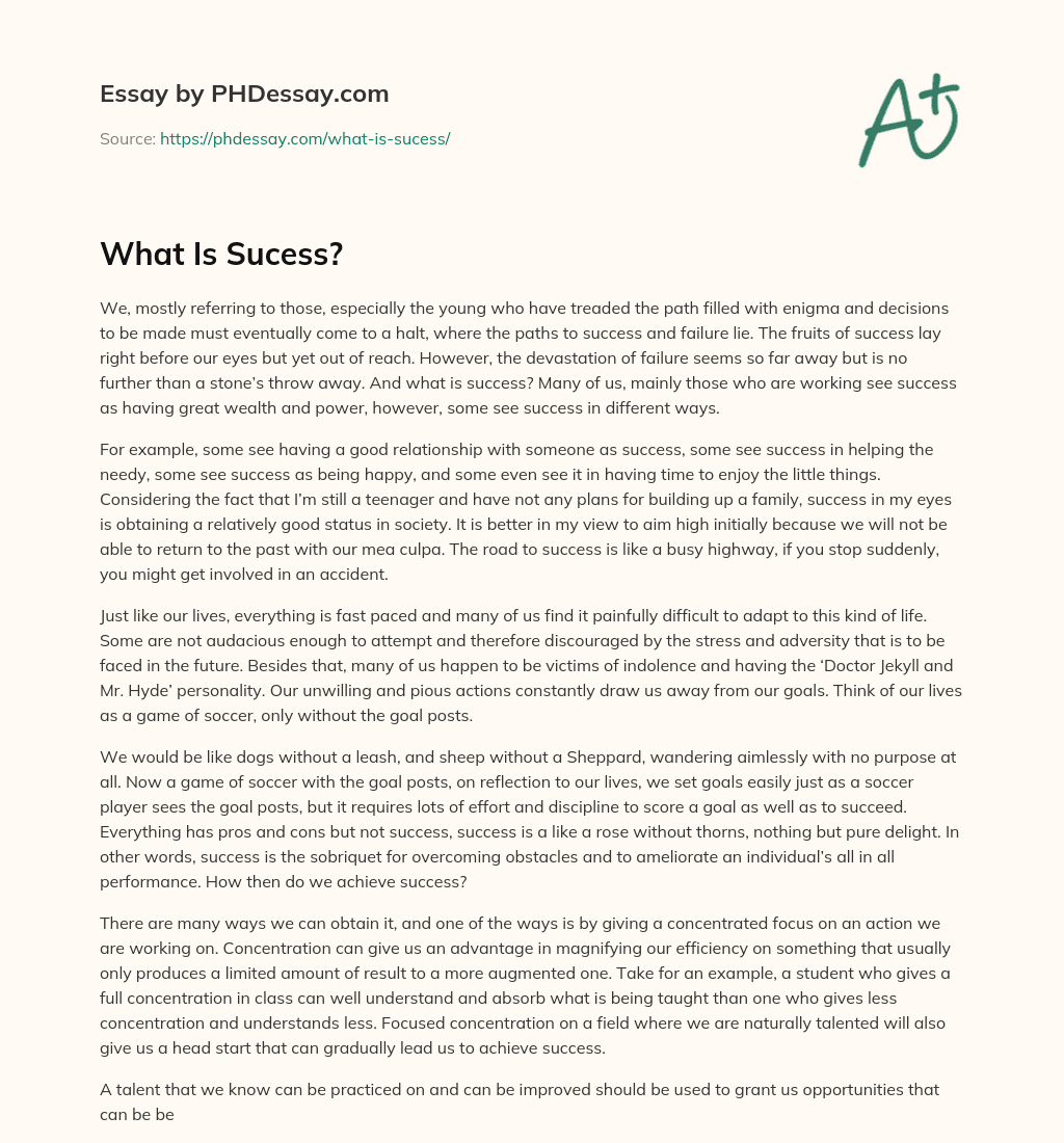 What Is Sucess? - PHDessay.com