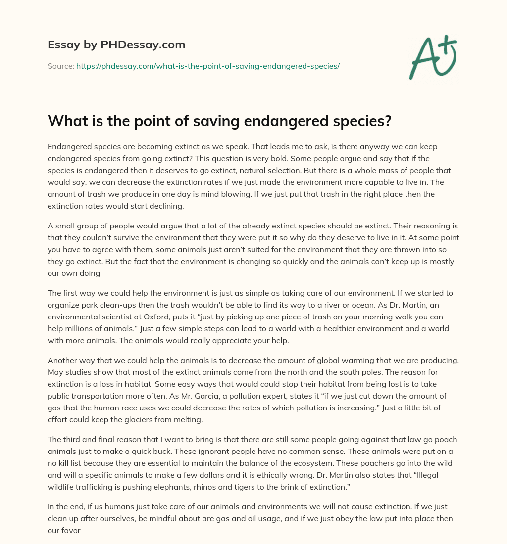What Is The Point Of Saving Endangered Species? Essay Example (600 ...