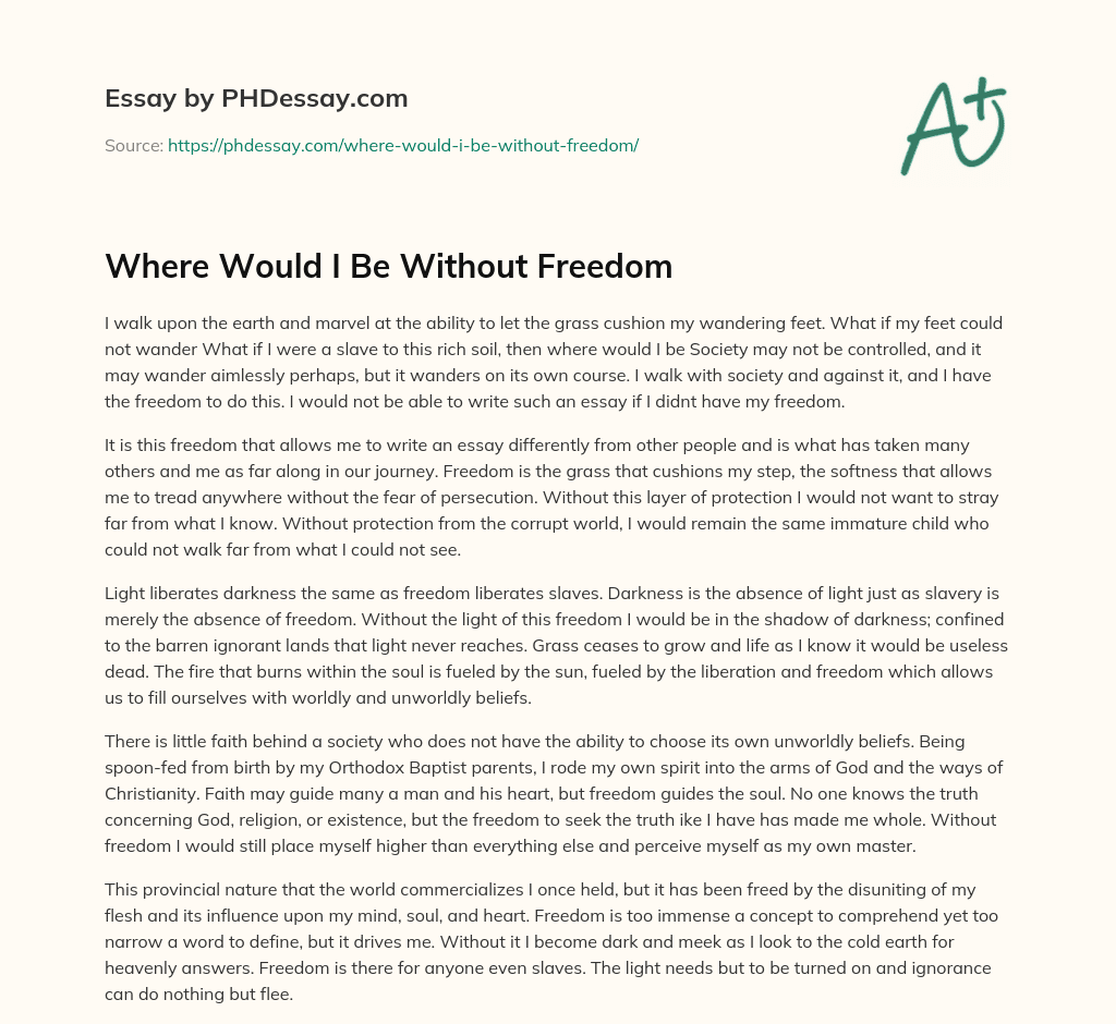 Where Would I Be Without Freedom - PHDessay.com